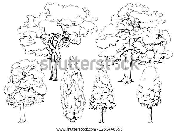 Tree Collection Illustration Drawing Engraving Ink 스톡 벡터(로열티 프리 ...