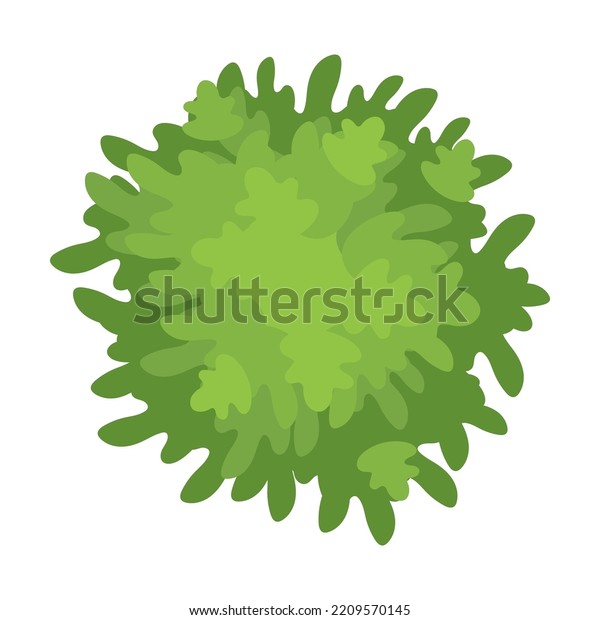 Tree Crown Top Aerial View Green Stock Vector (Royalty Free) 2209570145 ...