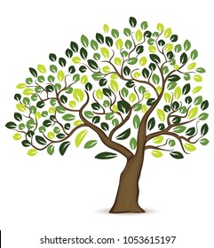 Tree Design Illustration Stock Vector (Royalty Free) 1053615197 ...