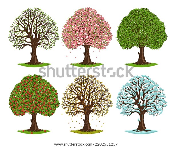 Tree Different Seasons Spring Blooming Summer Stock Vector (Royalty ...