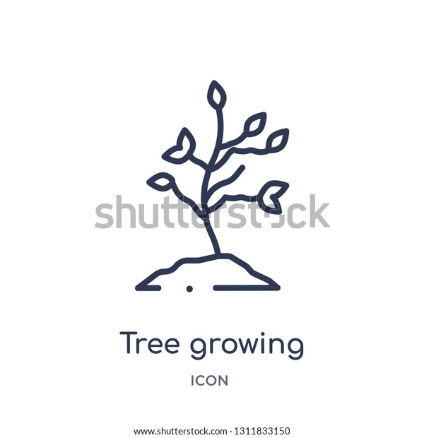 Tree Growing Icon Nature Outline Collection Stock Vector (Royalty Free ...