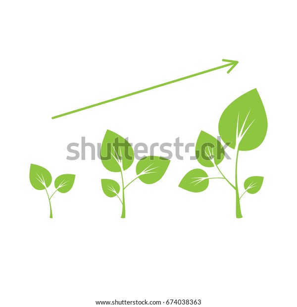 Tree Growth Diagram Vector Illustration Stock Vector (Royalty Free ...