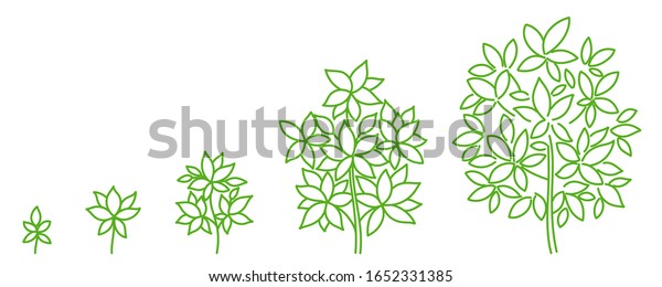 Tree Growth Stages Diagram Development Stage: стоковая векторная ...