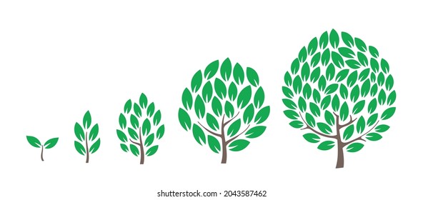 597 Tree growth animation Images, Stock Photos & Vectors | Shutterstock