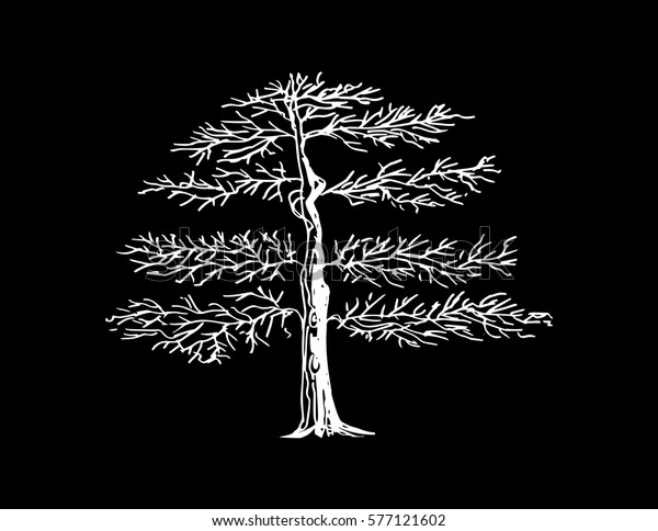 Tree Hand Drawing Illustration Stock Vector (Royalty Free) 577121602 ...