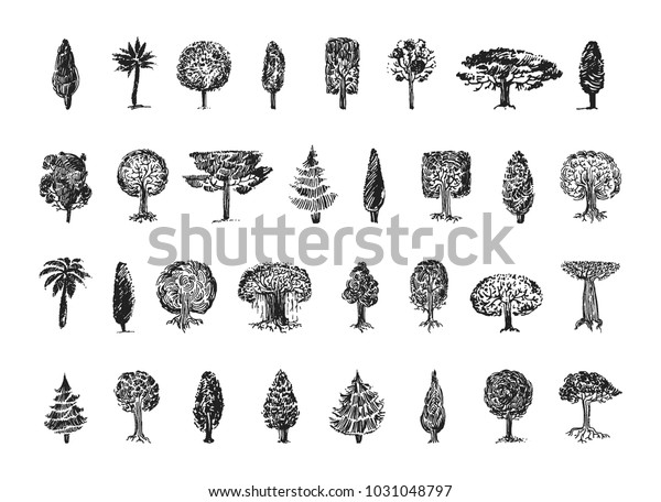 Tree Hand Drown Illustration Sketch Stock Vector (Royalty Free ...