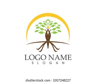 Tree Icon Stylized Tree Logo Stock Vector (Royalty Free) 1057248227 ...