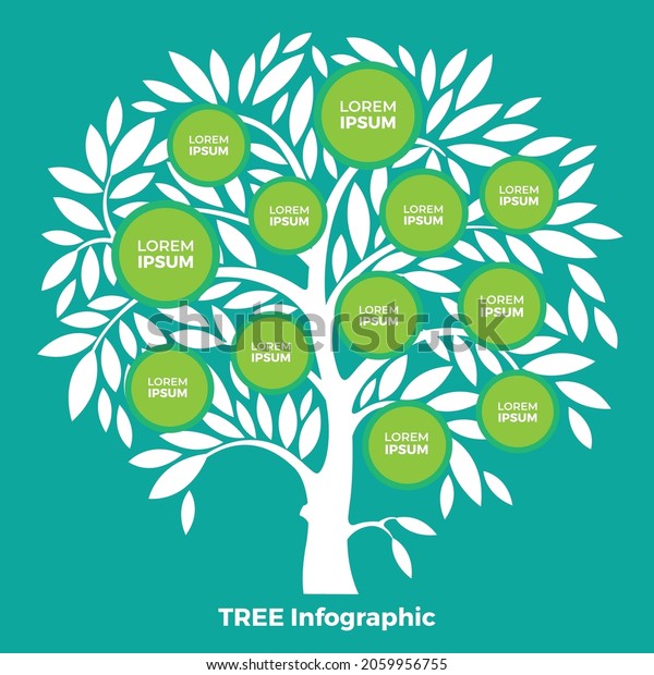 Tree Infographic Show Various Types Branches Stock Vector (Royalty Free ...