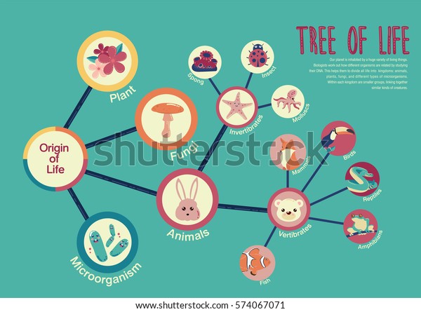 Tree of life info-graphic vector illustration