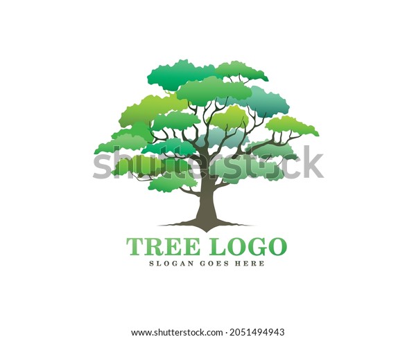 Tree Logo Design Giant Oak Tree Stock Vector (Royalty Free) 2051494943