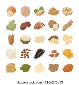 Tree Nuts Icons Pack Stock Vector (Royalty Free) 1166276833 | Shutterstock