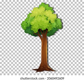 Tree On Transparent Background Illustration 库存矢量图（免版税）2060492609 ...