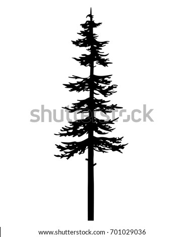Tree Pine Vector Black Silhouette Tribal Stock Vector (Royalty Free ...