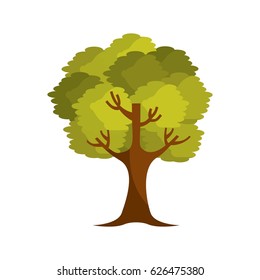 Oak Tree Roots Vector Isolated Stock Vector (Royalty Free) 1437011849 ...