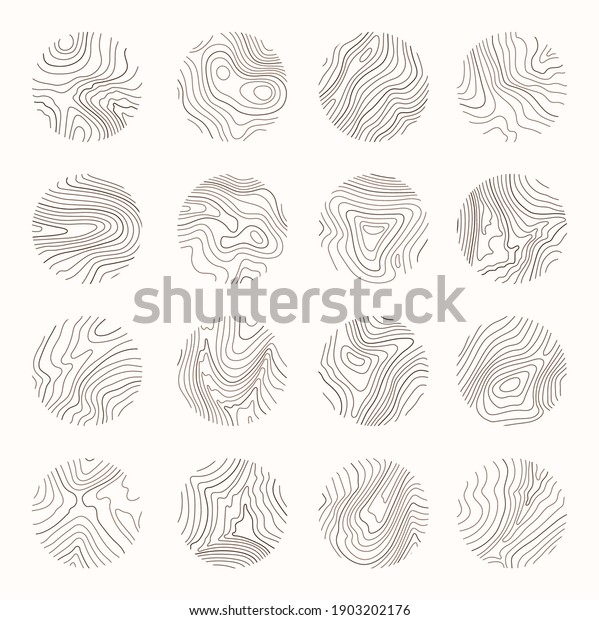 Tree ring, wood line art. Vector topography illustration