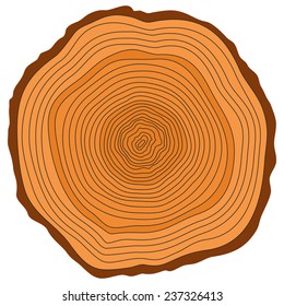 Tree Slice Rings Top View Old Stock Vector (Royalty Free) 1343169617