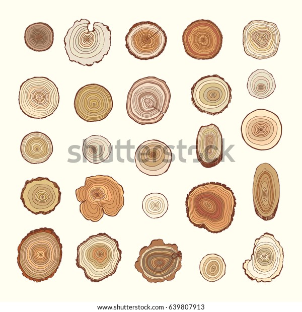 Tree Rings Vector Color Graphic Set Stock Vector (Royalty Free ...