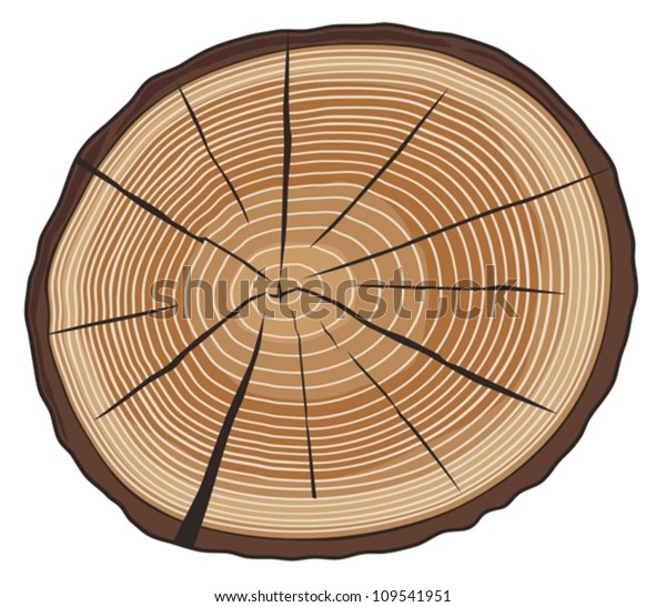 Tree Rings Wood Cross Section Stock Vector (Royalty Free) 109541951 ...