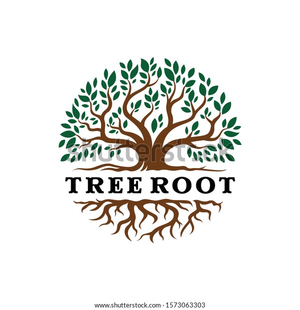 Tree Root Logo