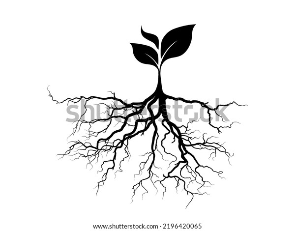 Tree Root Silhouette Isolated On White Stock Vector (Royalty Free ...