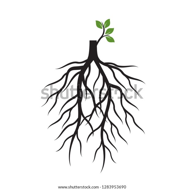 Tree Roots Germinate Limb Roots Plants Stock Vector (Royalty Free ...