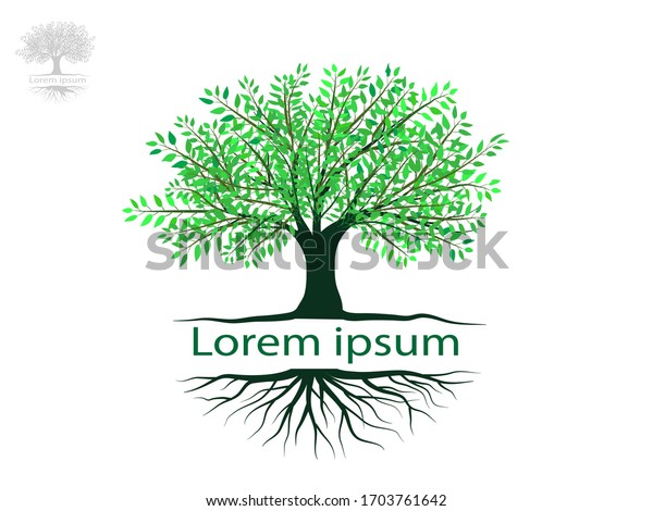 Tree Roots Green Leaves Look Beautiful Stock Vector (Royalty Free ...