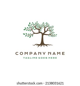 Tree Roots Logo Design Vector Isolated Stock Vector (Royalty Free ...