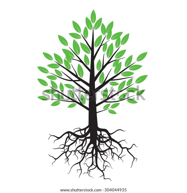 Tree Roots Vector Illustration Stock Vector (Royalty Free) 304044935 ...