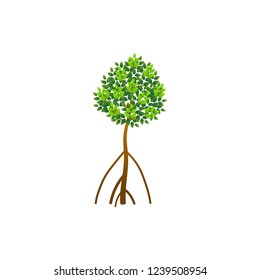 Tree Roots Vector Mangrove Tree Illustration Stock Vector (Royalty Free ...