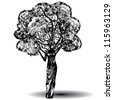 9+ Thousand Daphne Royalty-Free Images, Stock Photos & Pictures ...