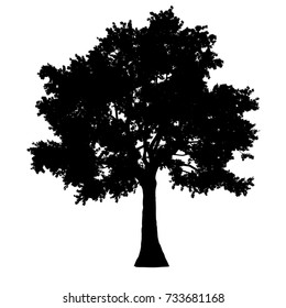 Tree Side View Silhouette Isolated Black: vector de stock (libre de ...