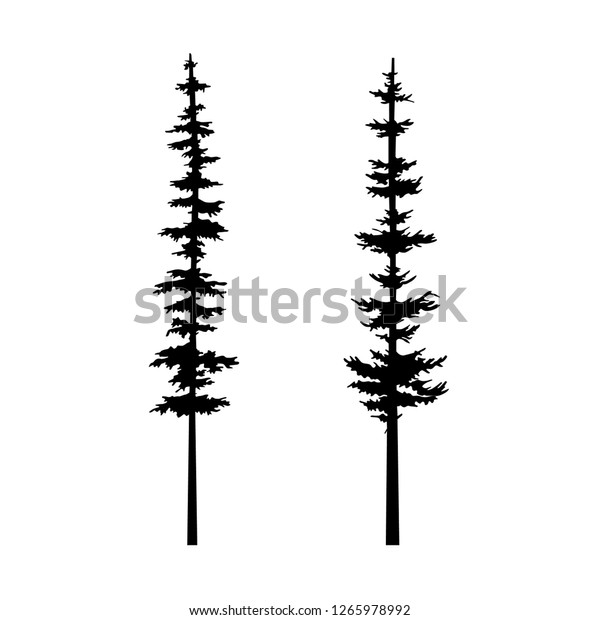 Jack Pine Tree Tattoo