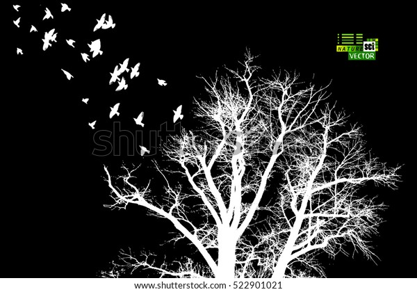 Tree Silhouette Flying Birds Vector Stock Vector (Royalty Free ...
