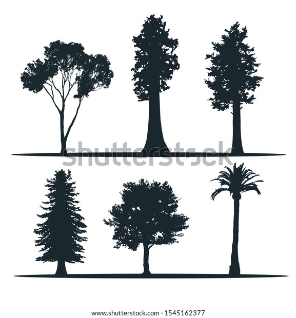 Tree Silhouettes Madrona Sequoia Redwood Pine Stock Vector (Royalty ...