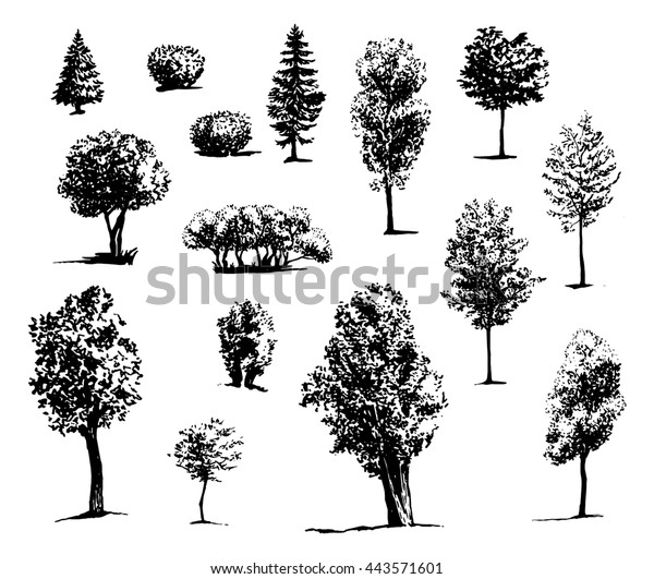 Tree Sketch Drawn Ink Silhouettes Trees: เวกเตอร์สต็อก (ปลอดค่า ...