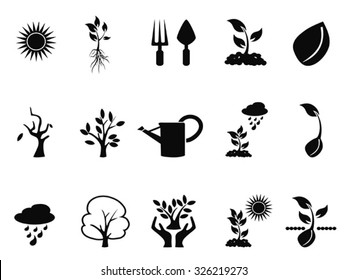 Tree Sprout Growing Icons Set Stock Vector (Royalty Free) 326219273 ...