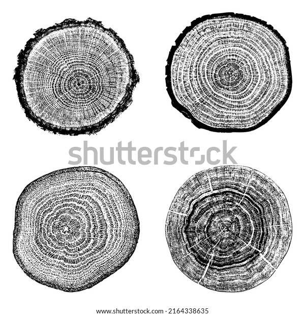 7,079 Fir Tree Stump Images, Stock Photos & Vectors | Shutterstock