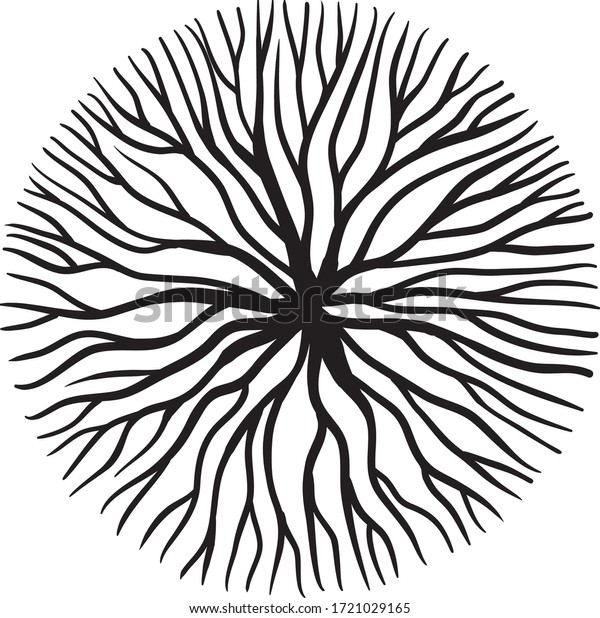 Tree Top View Landscape Designnature Concept Stock Vector (Royalty Free ...