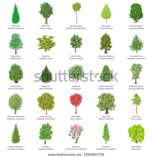 Icônes de types d'arborescence définies. Illustration : image ...