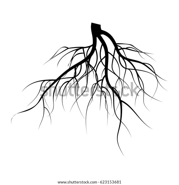 Tree Underground Roots Vector Plant Underground: vetor stock (livre de ...