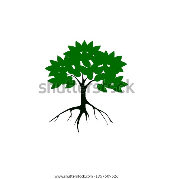 Tree Vector Illustration Roots Banyan Tree Stock Vector (Royalty Free ...