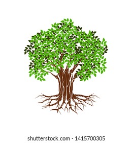 Vector Illustration Tree Shape Roots Green Stock Vector (Royalty Free ...