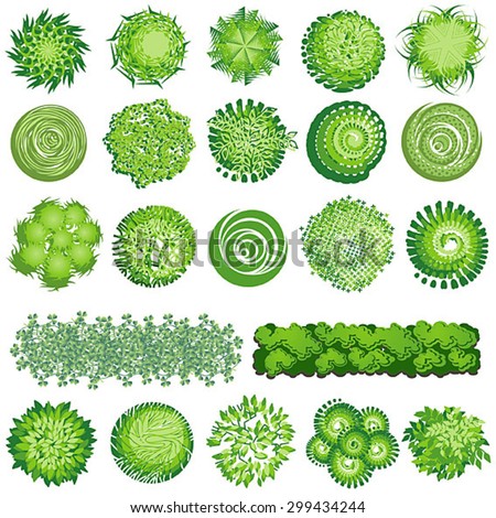 Trees Bush Item Top View Landscape Stock Vector (Royalty Free ...