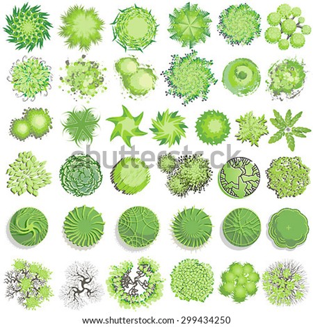 Trees Bush Item Top View Landscape Stock Vector (Royalty Free ...