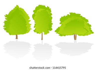 Trees Detailed Illustration Collection Background Vector: vector de ...