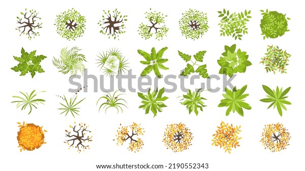 Trees Plants Top View Landscape Design Stock Vector (Royalty Free ...