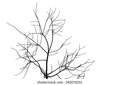 Line Art Illustration Dead Trees On Stock Illustration 2059591259 ...