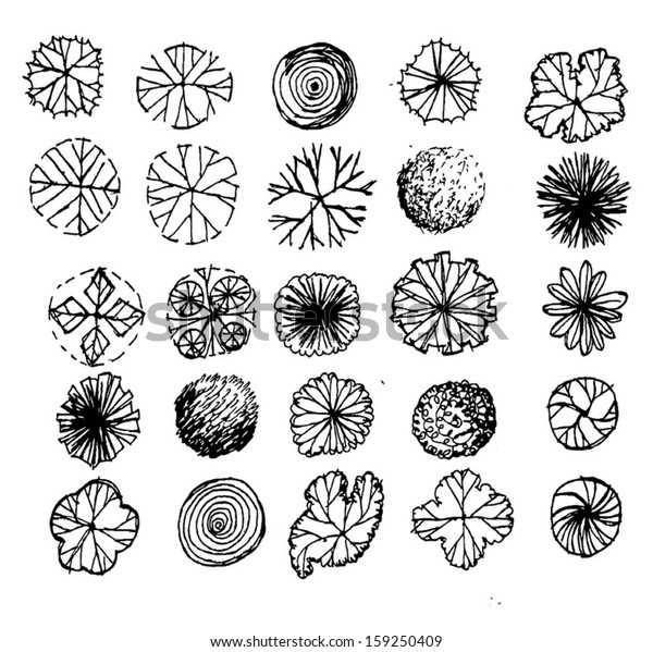 Trees Top View Architecture Landscape Design Stock Vector (Royalty Free ...