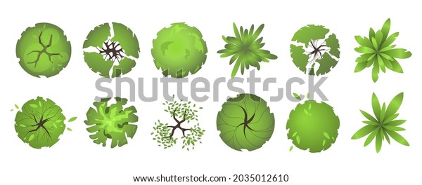 Trees Top View Different Colored Plants Stock Vector (Royalty Free ...