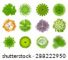 21,522 Grass Plan View Royalty-Free Images, Stock Photos & Pictures ...